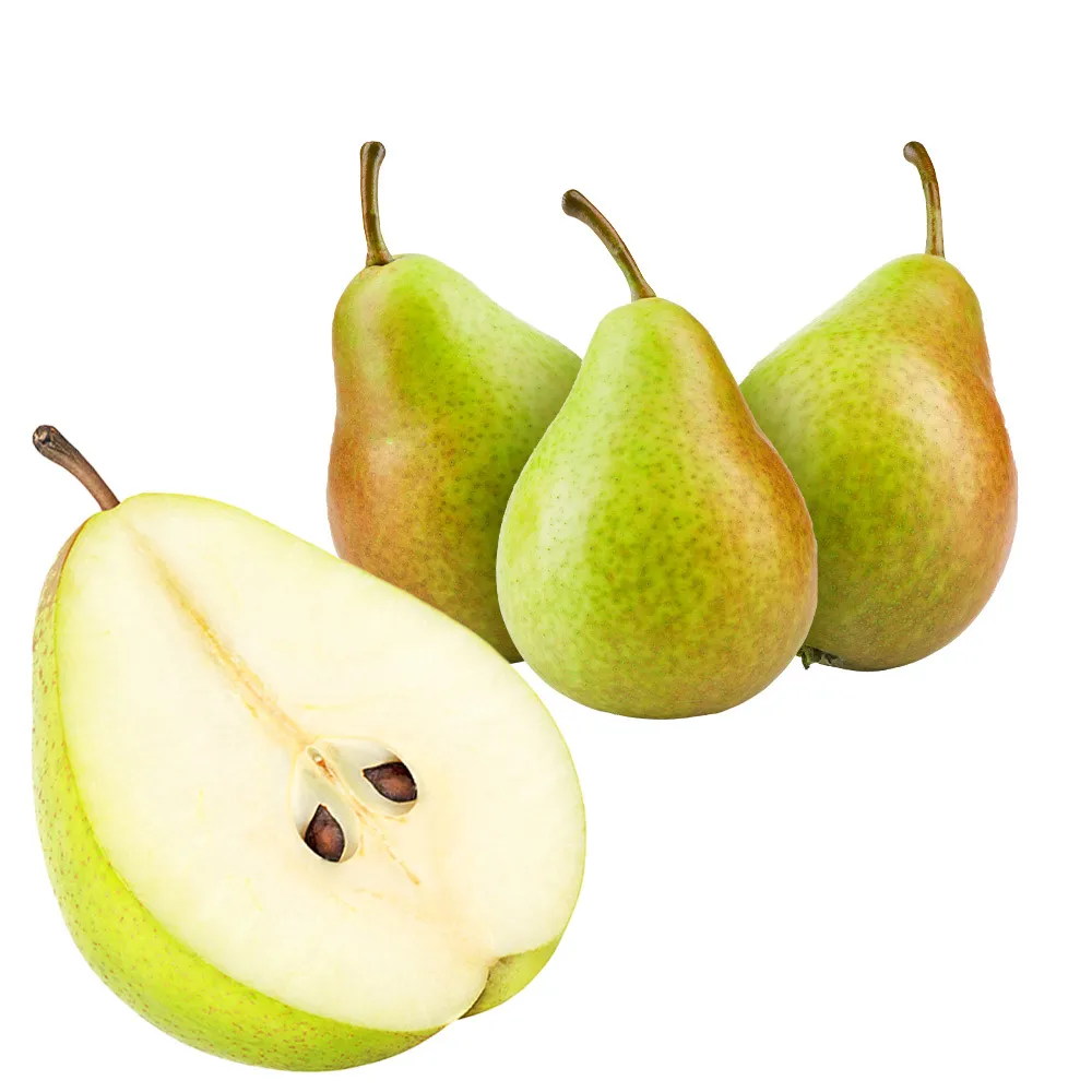 Santa Maria Armut Paket