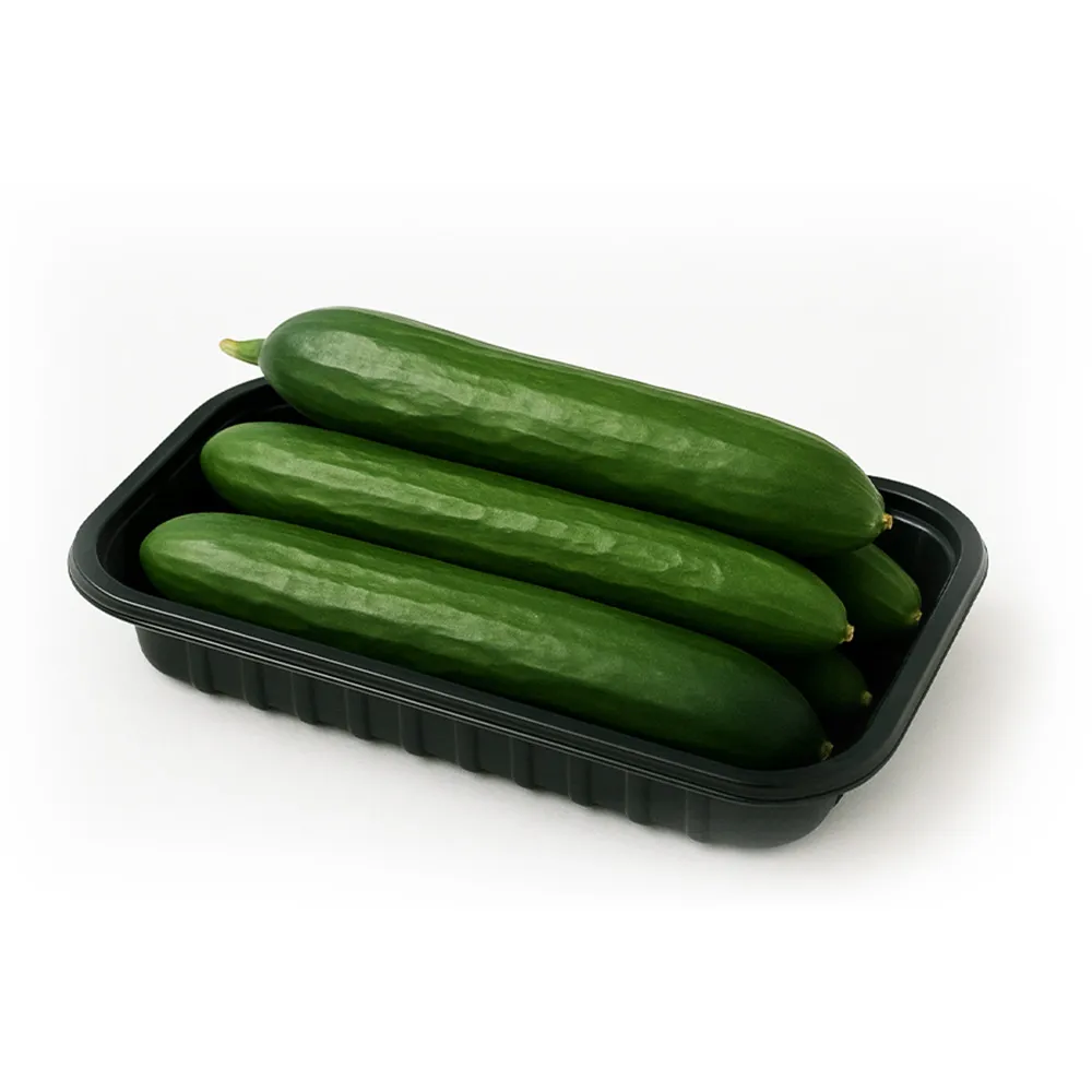 Salatalık Paket